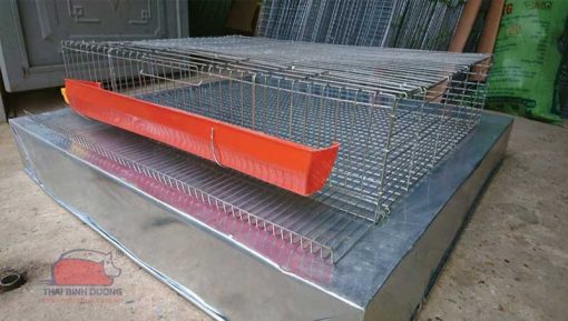 Cách làm chuồng nuôi chim cút chuẩn kích thước và kỹ thuật